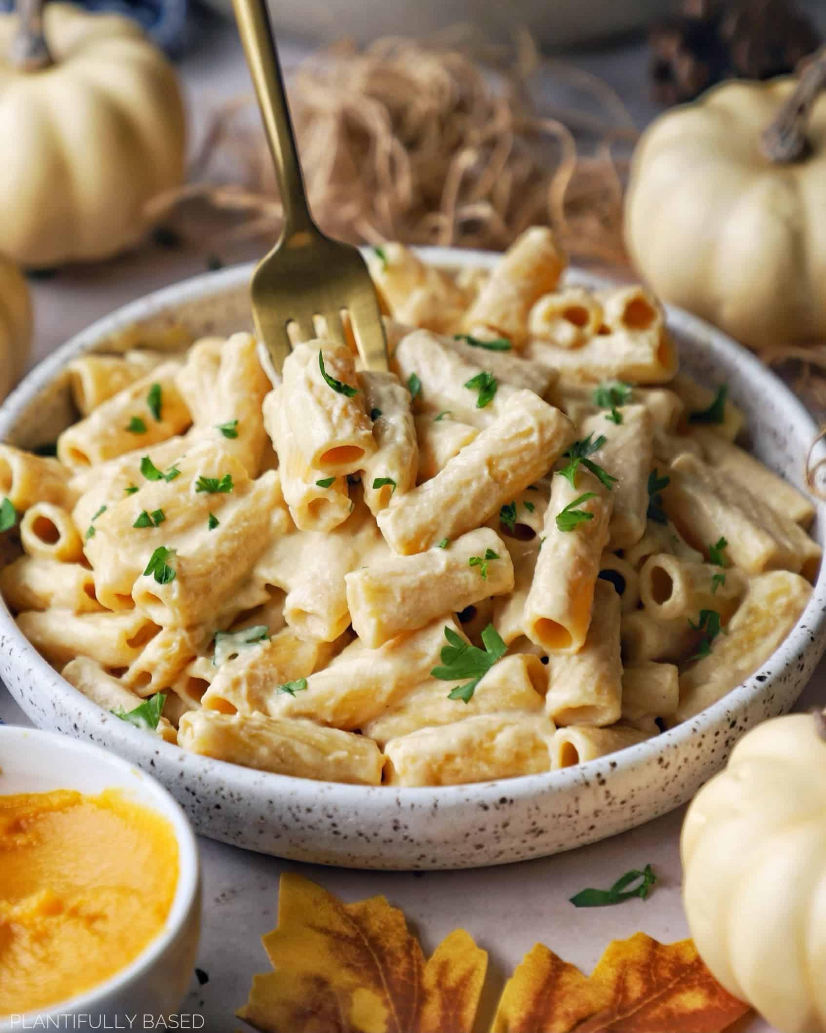 Butternut Squash Vodka Sauce - Plantifully Based